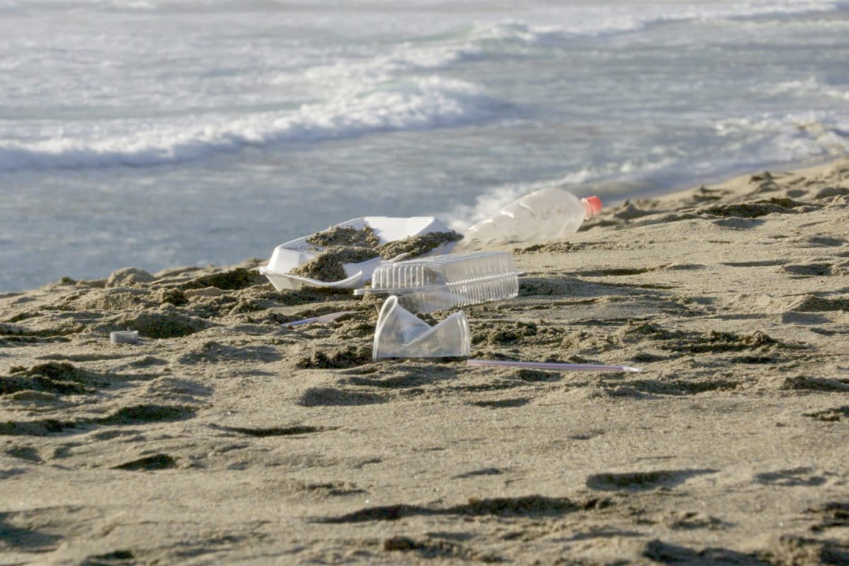 In world first, Chile to ban single-use food and beverage products over ...