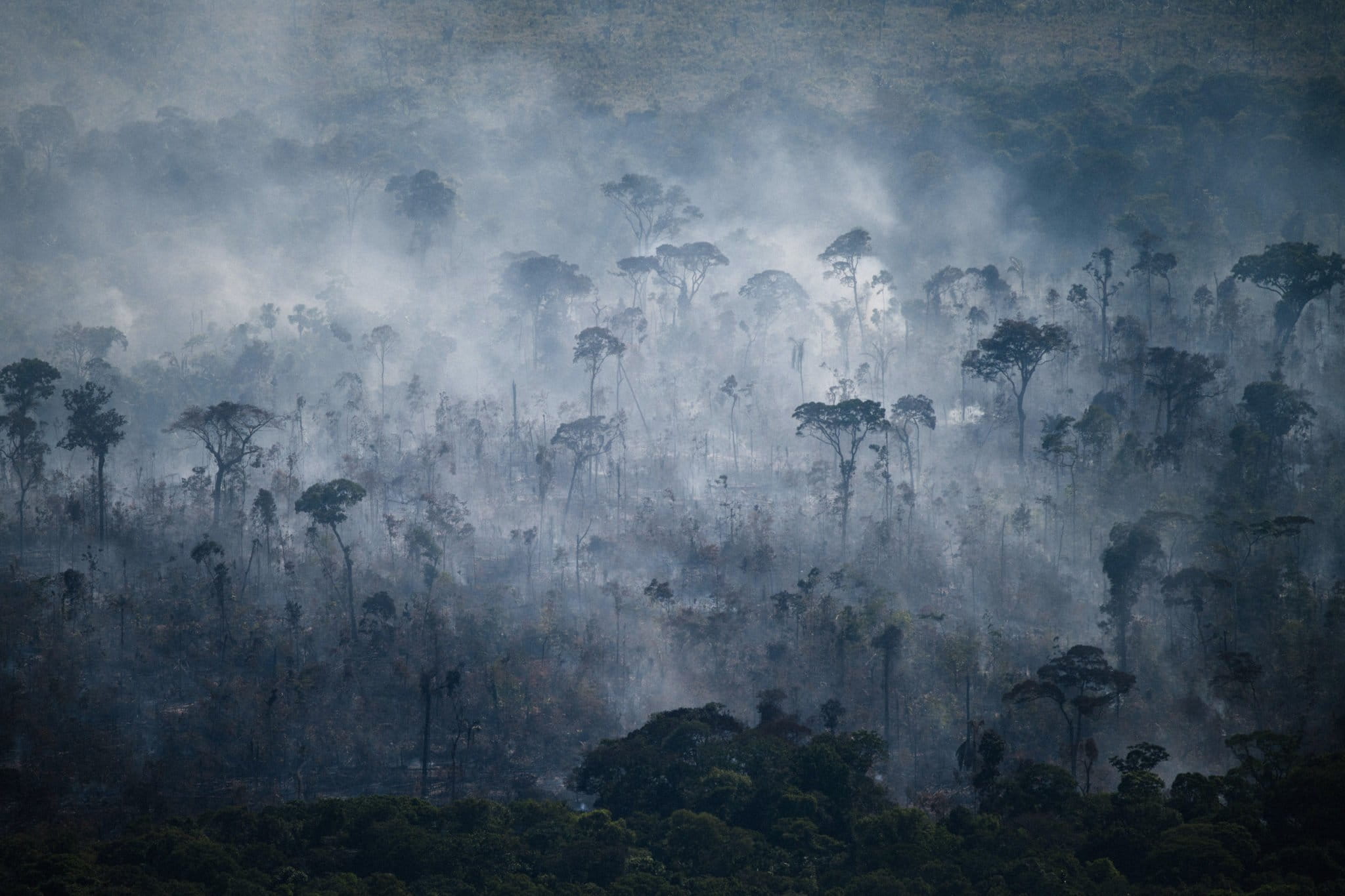 How close is the Amazon tipping point? Forest loss in the east changes ...
