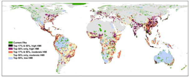 ‘Protection too small, pressure too high’ for tree species globally ...