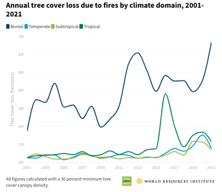 Forest fires are getting worse, 20 years of data confirm