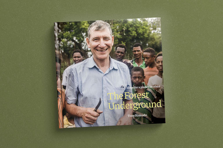 Let it grow: Q&A with reforestation and land restoration visionary Tony ...