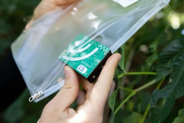 Hear that? Bioacoustics is having its moment, but the technology still ...