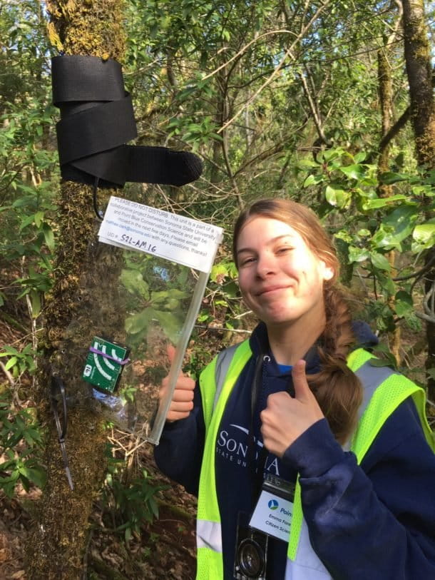 Hear that? Bioacoustics is having its moment, but the technology still ...