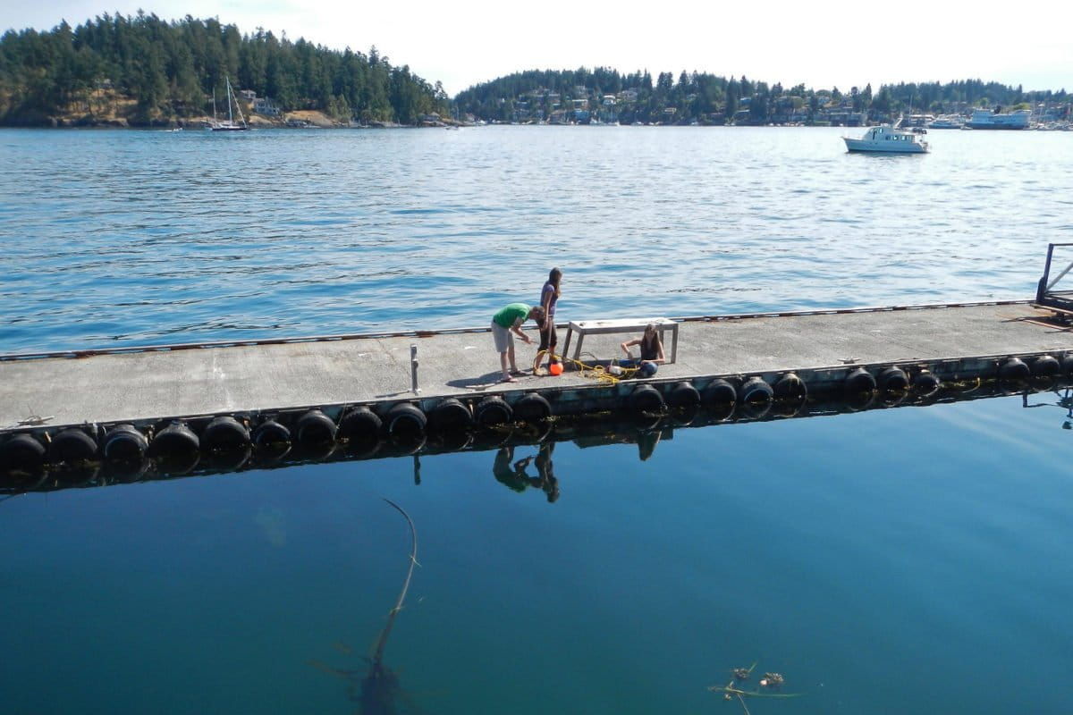 Hear that? Bioacoustics is having its moment, but the technology still ...