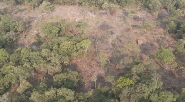 Poverty-fueled deforestation threatens Kenya’s largest water catchment