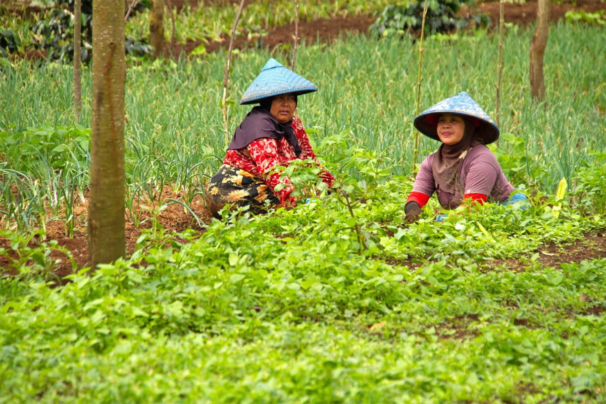 Java communities rally as clock ticks on cleanup of ‘world’s dirtiest ...