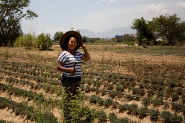 On the frontlines of drought, communities in Mexico strive to save ...