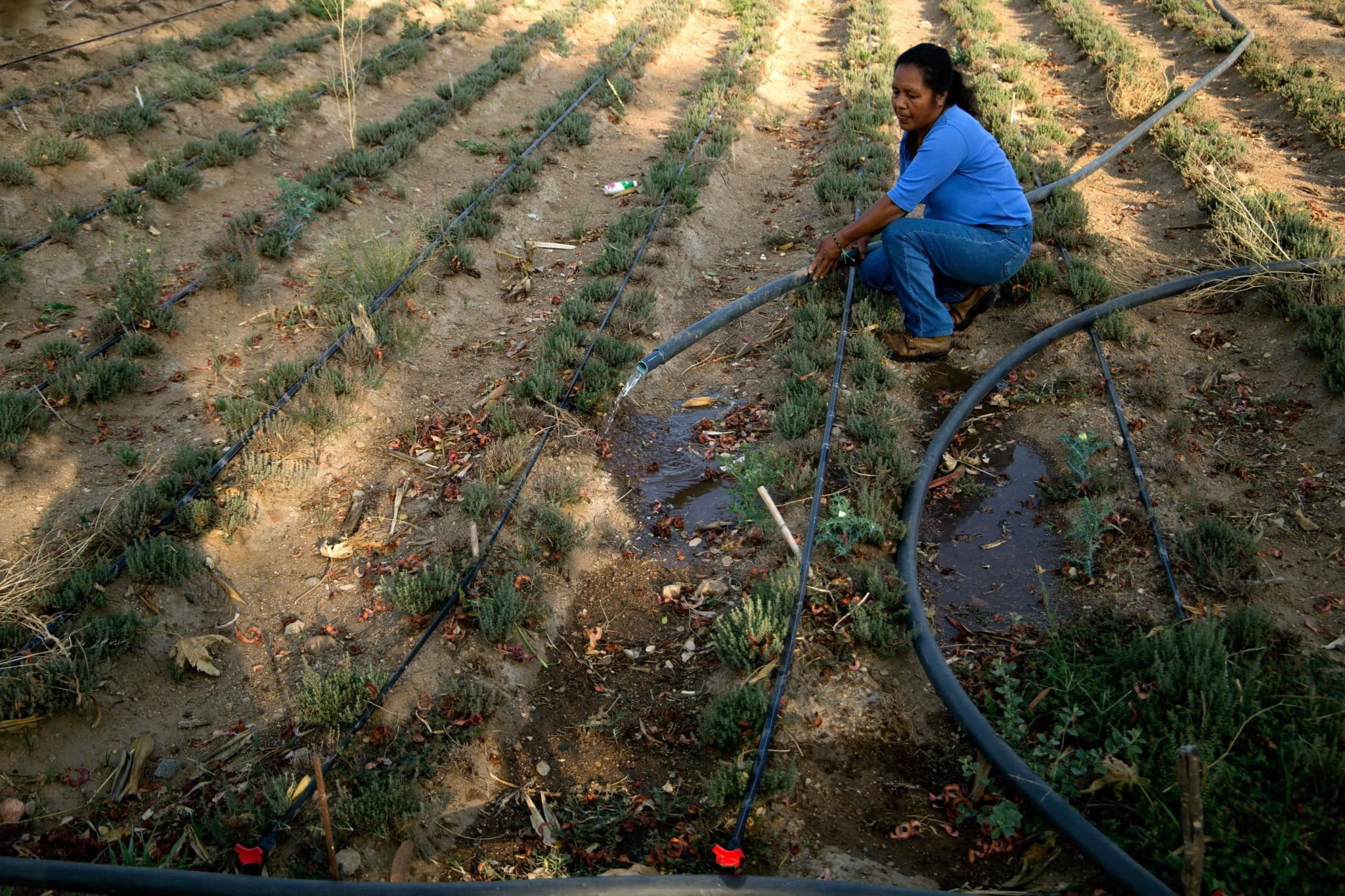 On the frontlines of drought, communities in Mexico strive to save ...