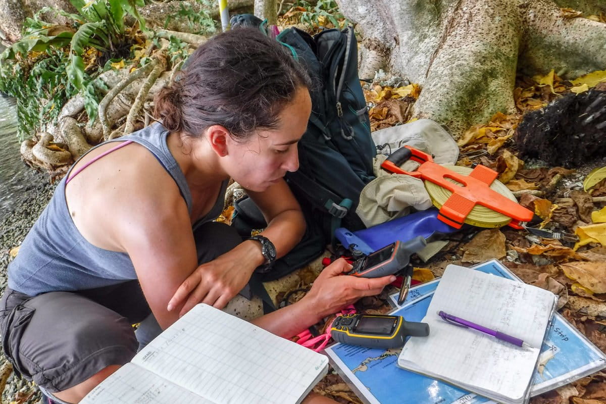 Stamping out invasive species has successful track record on islands ...