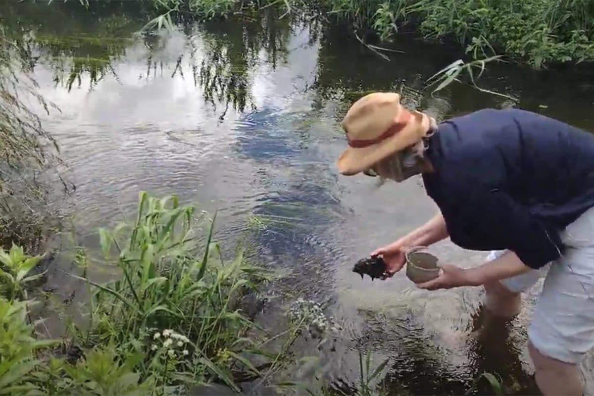 Wildlife lover and artist records 5 decades of change on iconic U.K. river