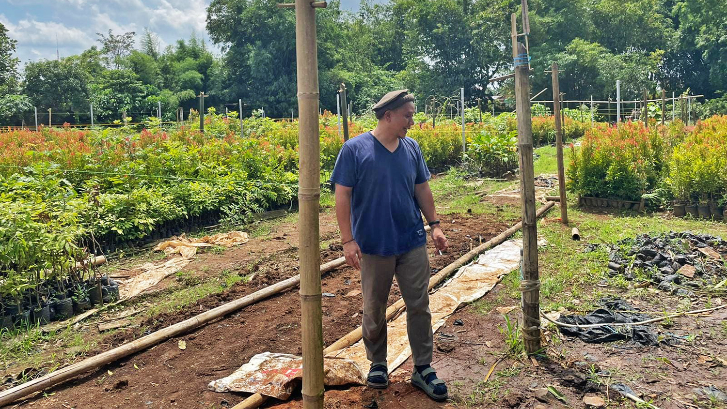 An Indonesian rock star shines his light on mangroves, urban farming and more