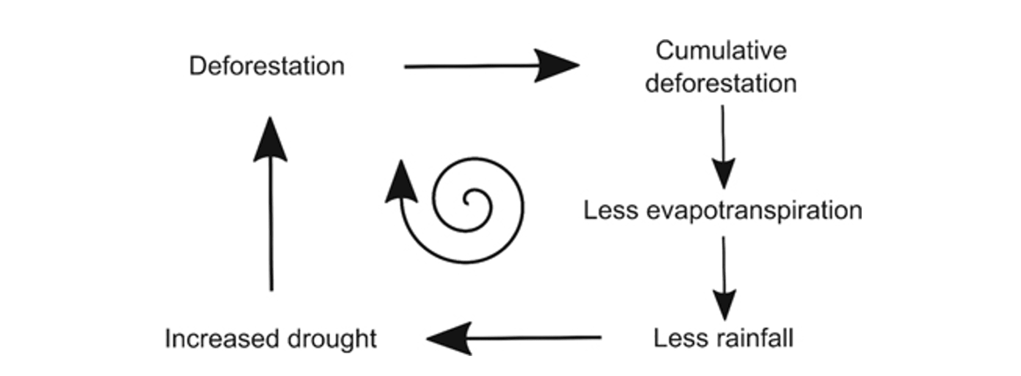 How close is the Amazon tipping point? Forest loss in the east changes ...