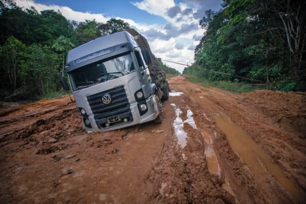 Road network spreads ‘arteries of destruction’ across 41% of Brazilian ...
