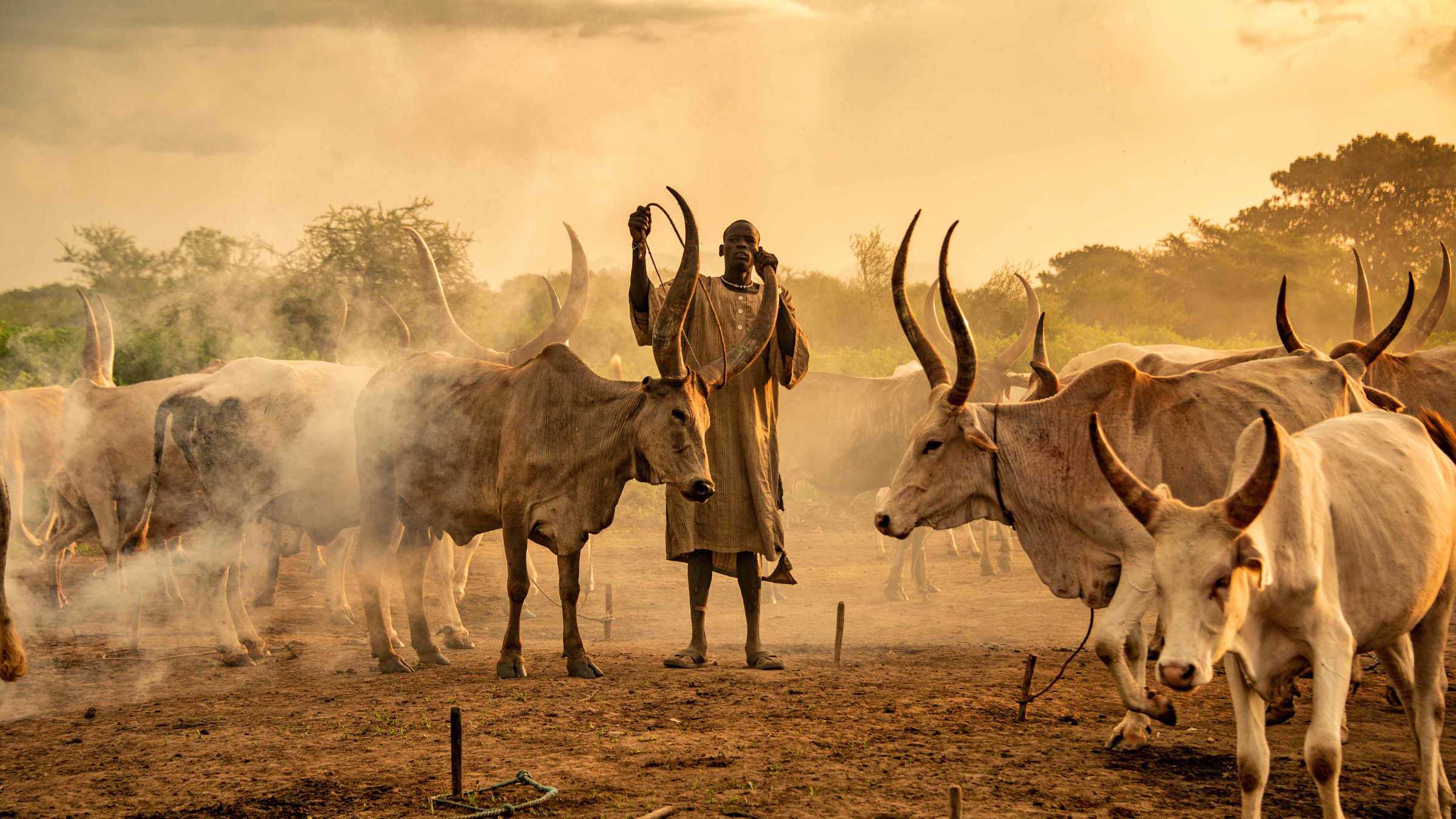 Debunking the colonial myth of the ‘African Eden’: Q&A with author ...