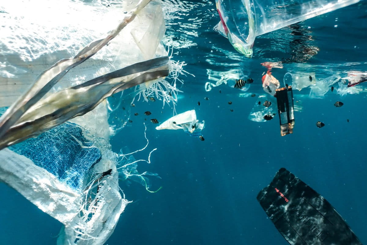 ‘One more thing’ about plastics: They could be acidifying the ocean ...