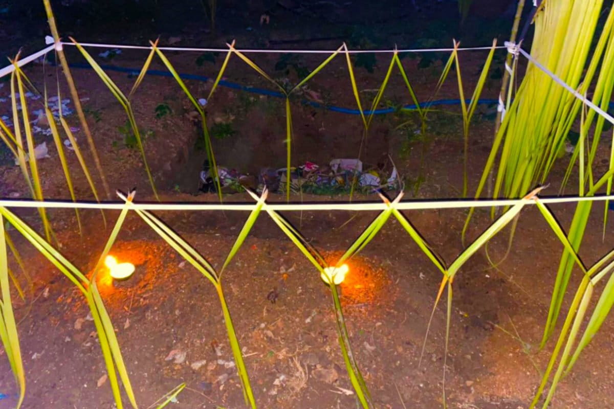 Dog shooting highlights Sri Lanka’s need for stricter animal cruelty laws