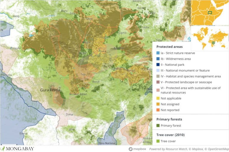 Ethiopia's honey forest: People and wildlife living in sweet harmony