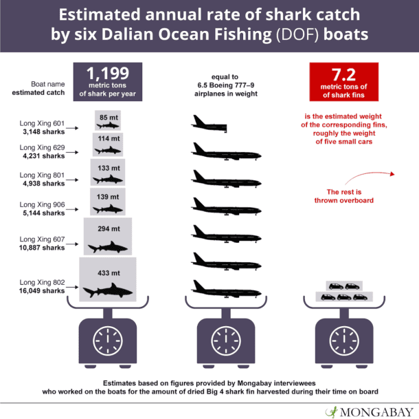 As shark numbers plummet, nations seek ban on devastatingly effective gear