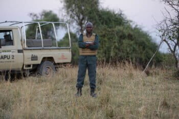 Support rangers to protect wildlife & habitats for the future (commentary)