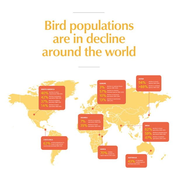 Bird declines boost case for transformative biodiversity agreement in ...