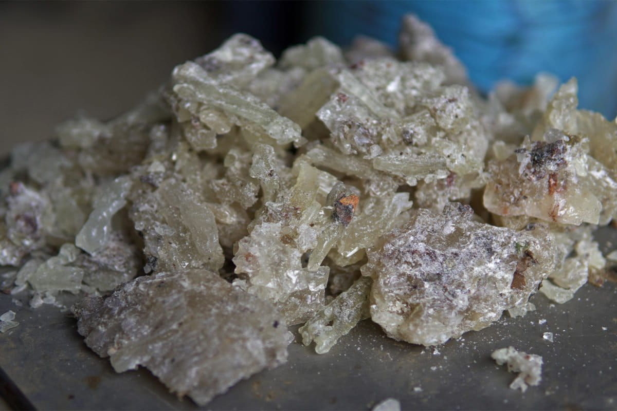 A Philippine resin trade proves sustainable for forests, but not tappers