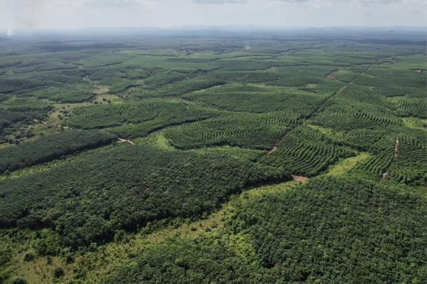 At a rubber plantation in Liberia, history repeats in a fight over land