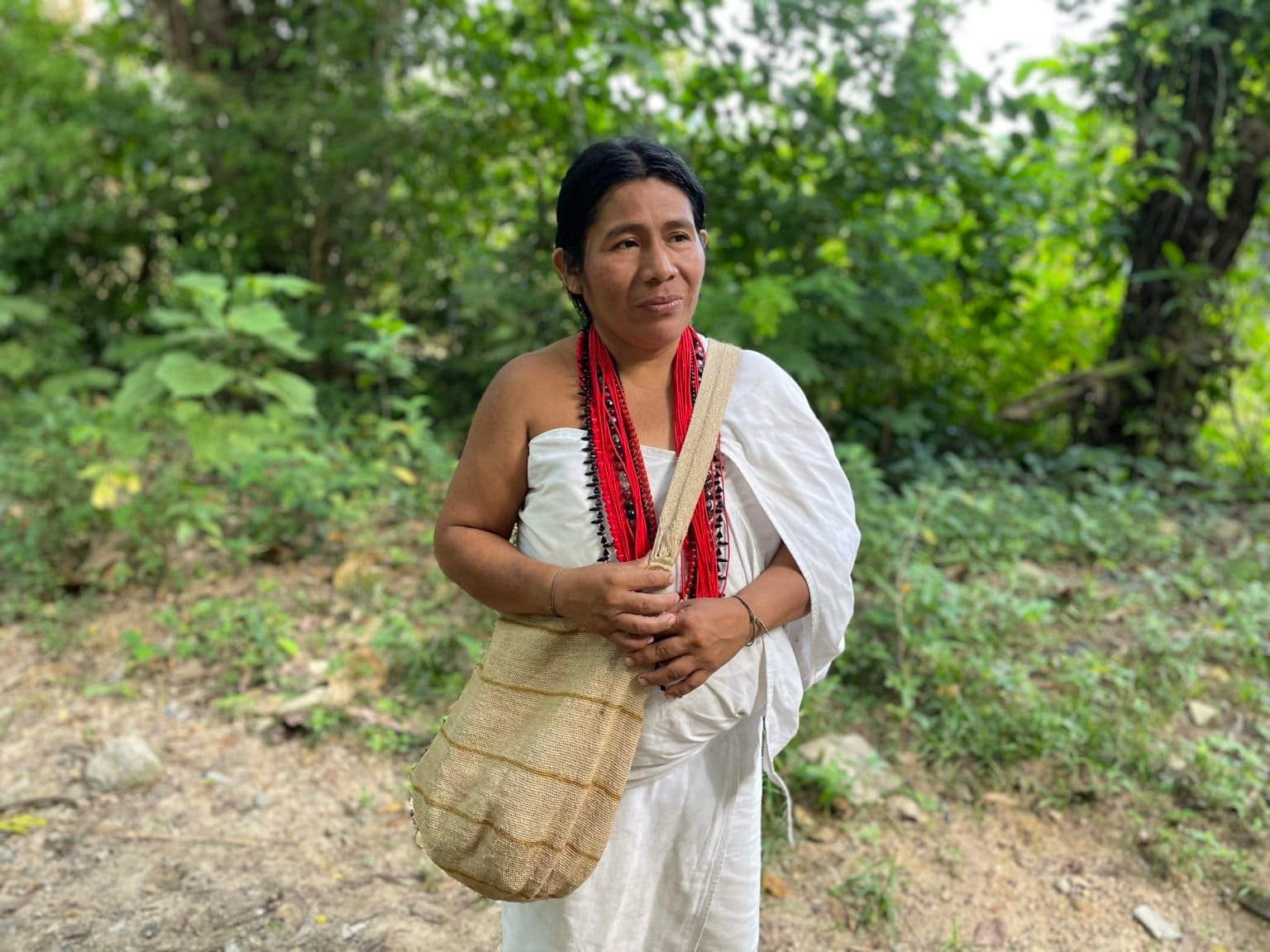 Indigenous Kogi worldview aims to change face of conservation for good