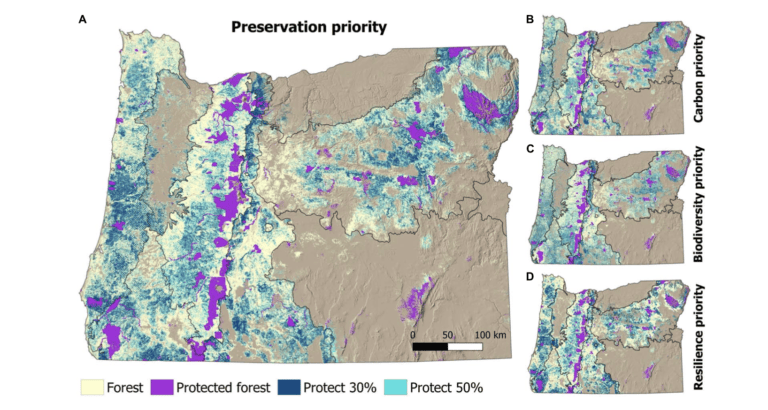 Study identifies priority forests in Oregon for max conservation benefit