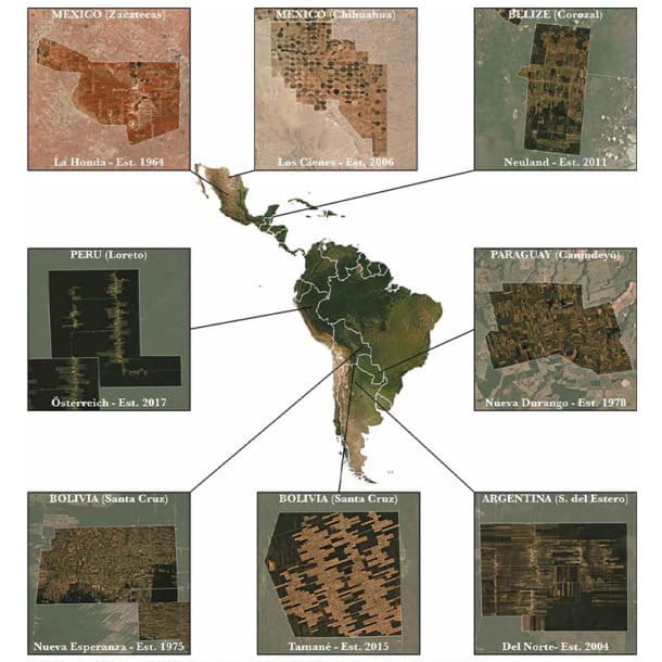 Indigenous communities in Latin America decry the Mennonites' expanding ...