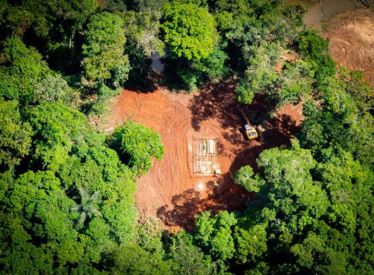 Illegal road found in Yanomami land accelerates destruction