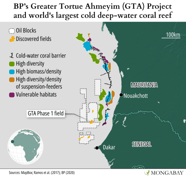 Win for science as BP pressured into cleaning up offshore gas plans