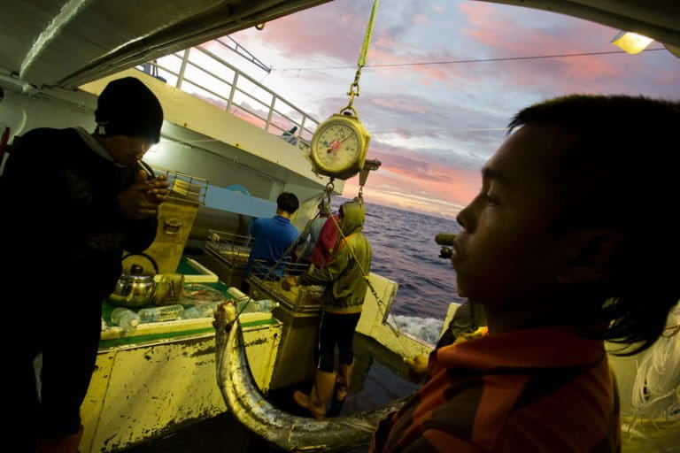 U.S. grocery chains flunk sustainability, human rights tests for tuna ...