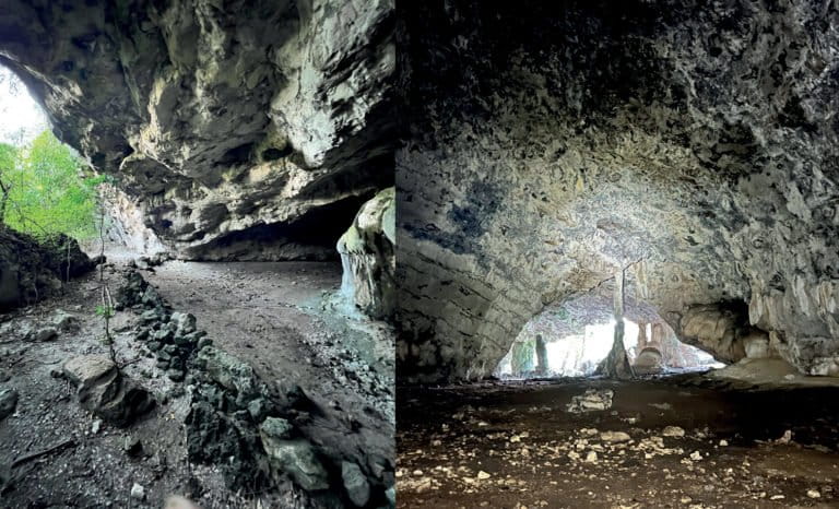 New gecko species from Timor-Leste hints at island’s unknown diversity