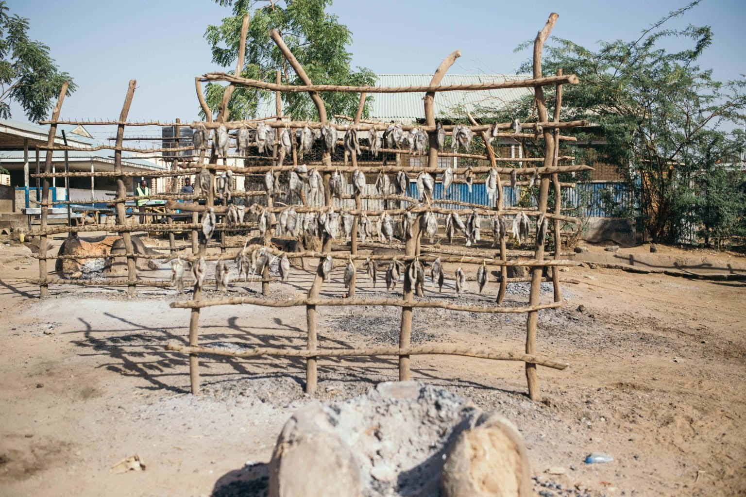 Herders turn to fishing in the desert amid severe drought, putting ...