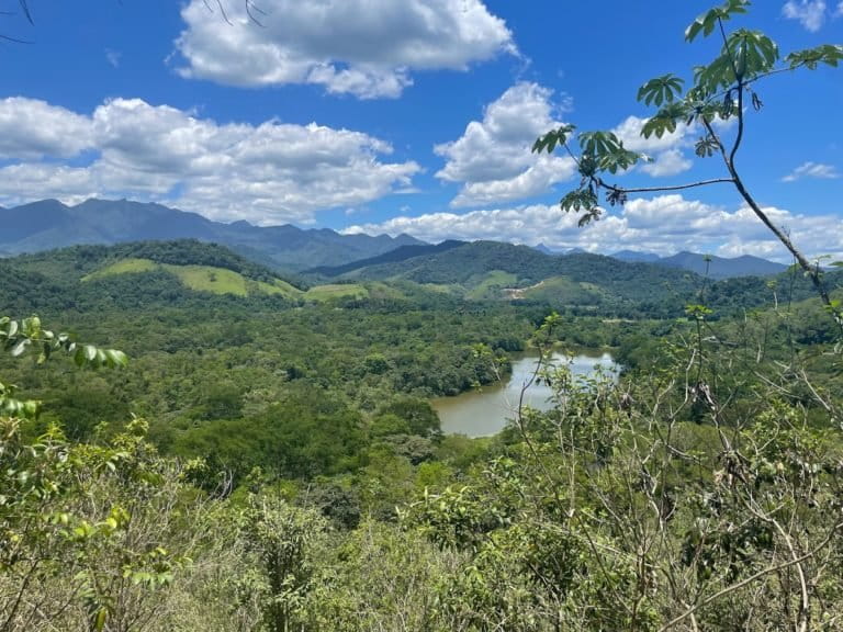 Restoration turns pastures into wildlife haven in Brazil’s Atlantic Forest