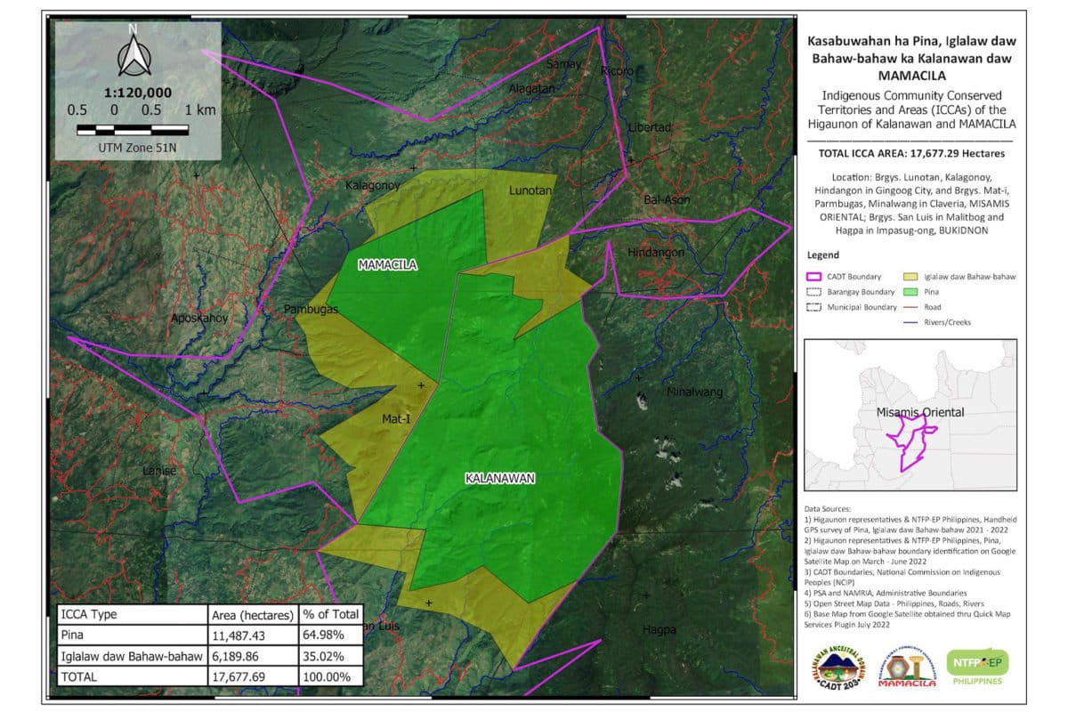 Indigenous youths keep ancient forestry traditions alive in the Philippines