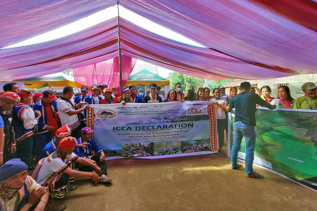 Indigenous youths keep ancient forestry traditions alive in the Philippines