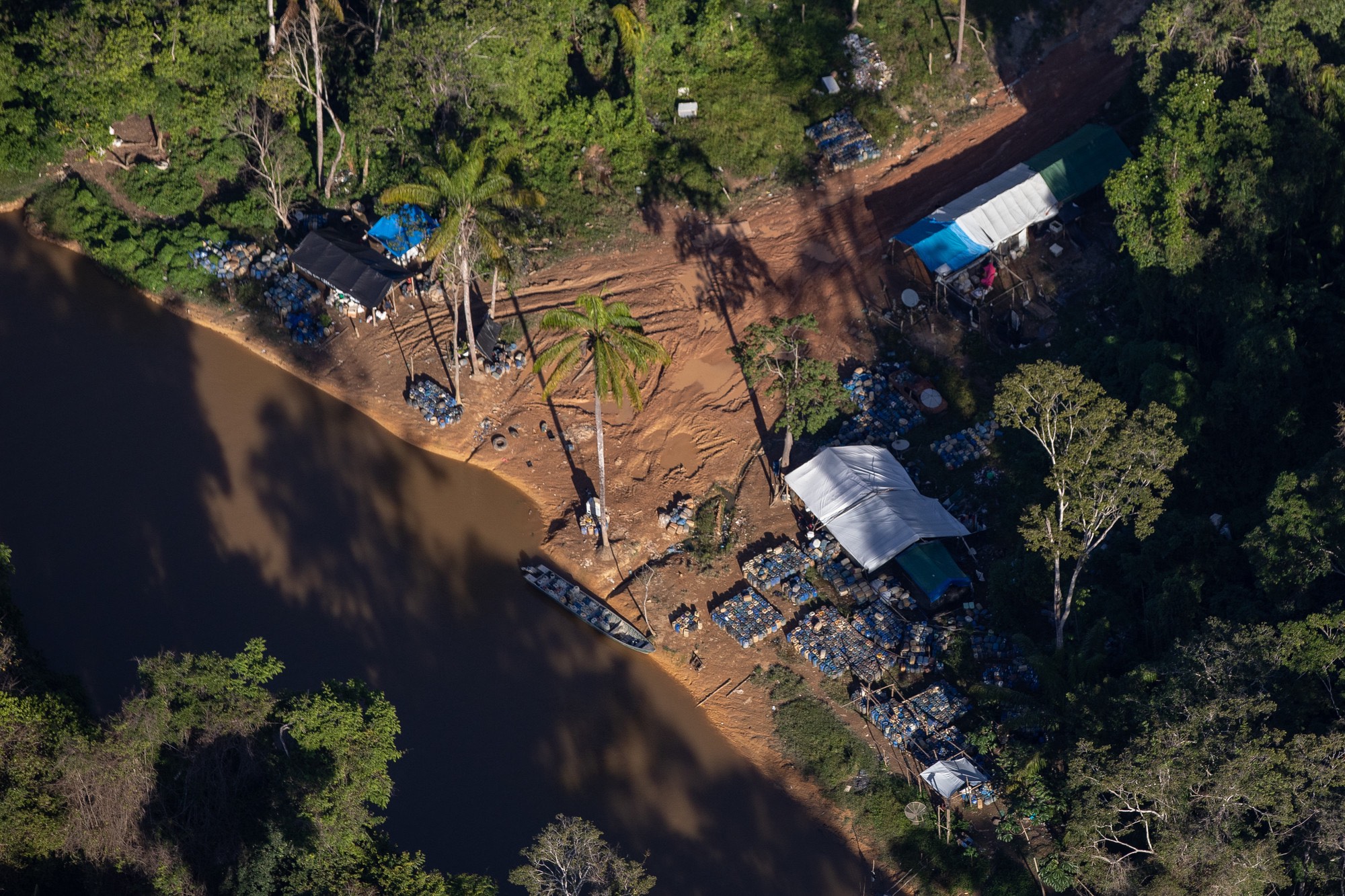 Lula government scrambles to overcome Yanomami crisis, but hurdles ...