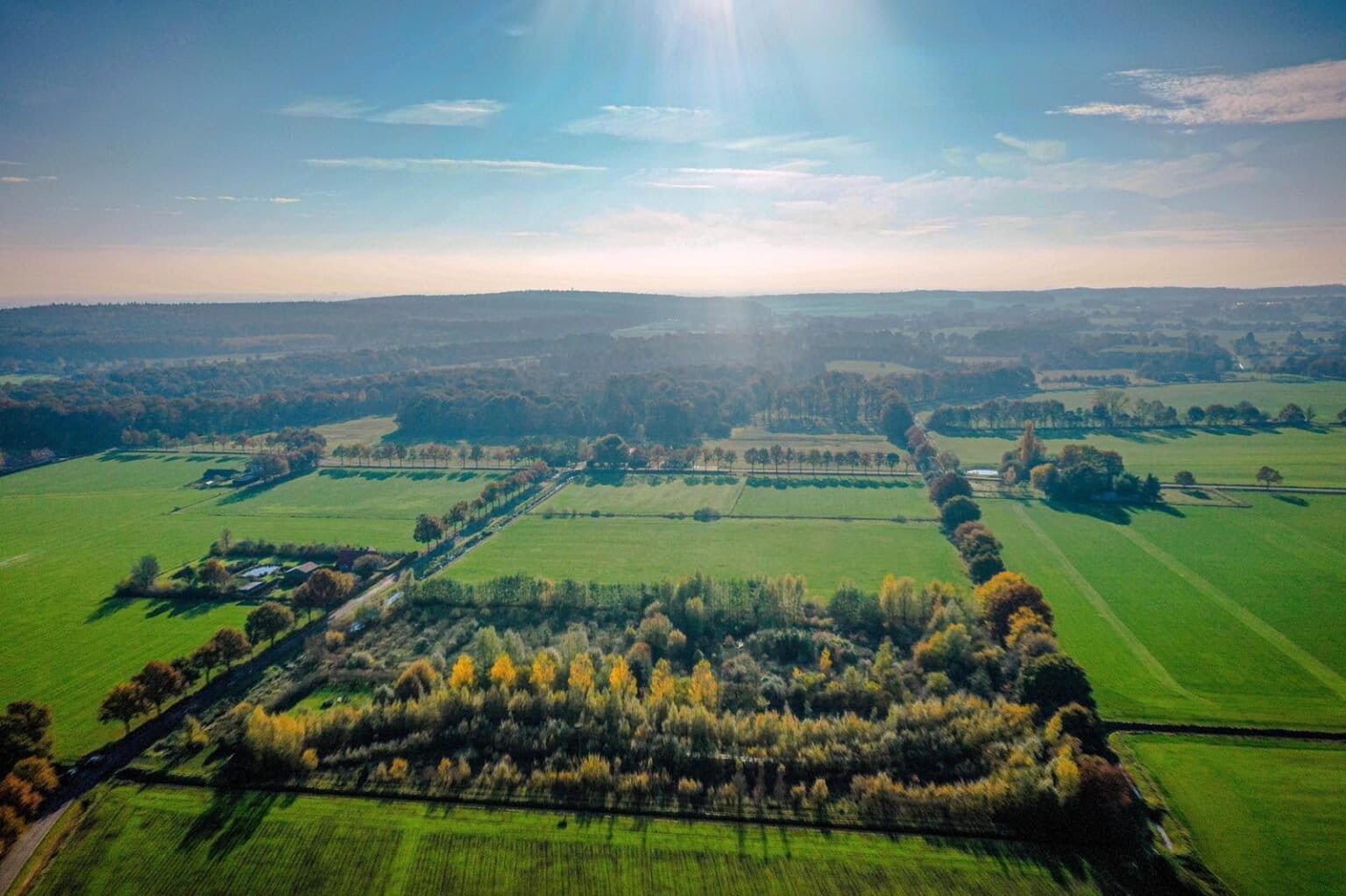 For Dutch farming crisis, agroforestry offers solutions: Q&A with ...