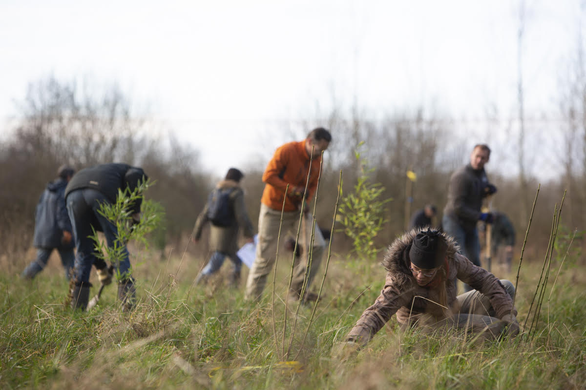 For Dutch farming crisis, agroforestry offers solutions: Q&A with ...