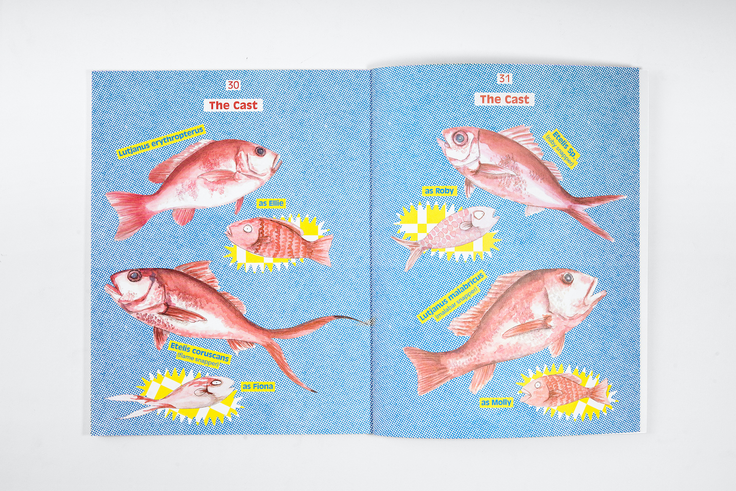 When a red snapper is more than just a fish: Q&A fisheries scientist ...