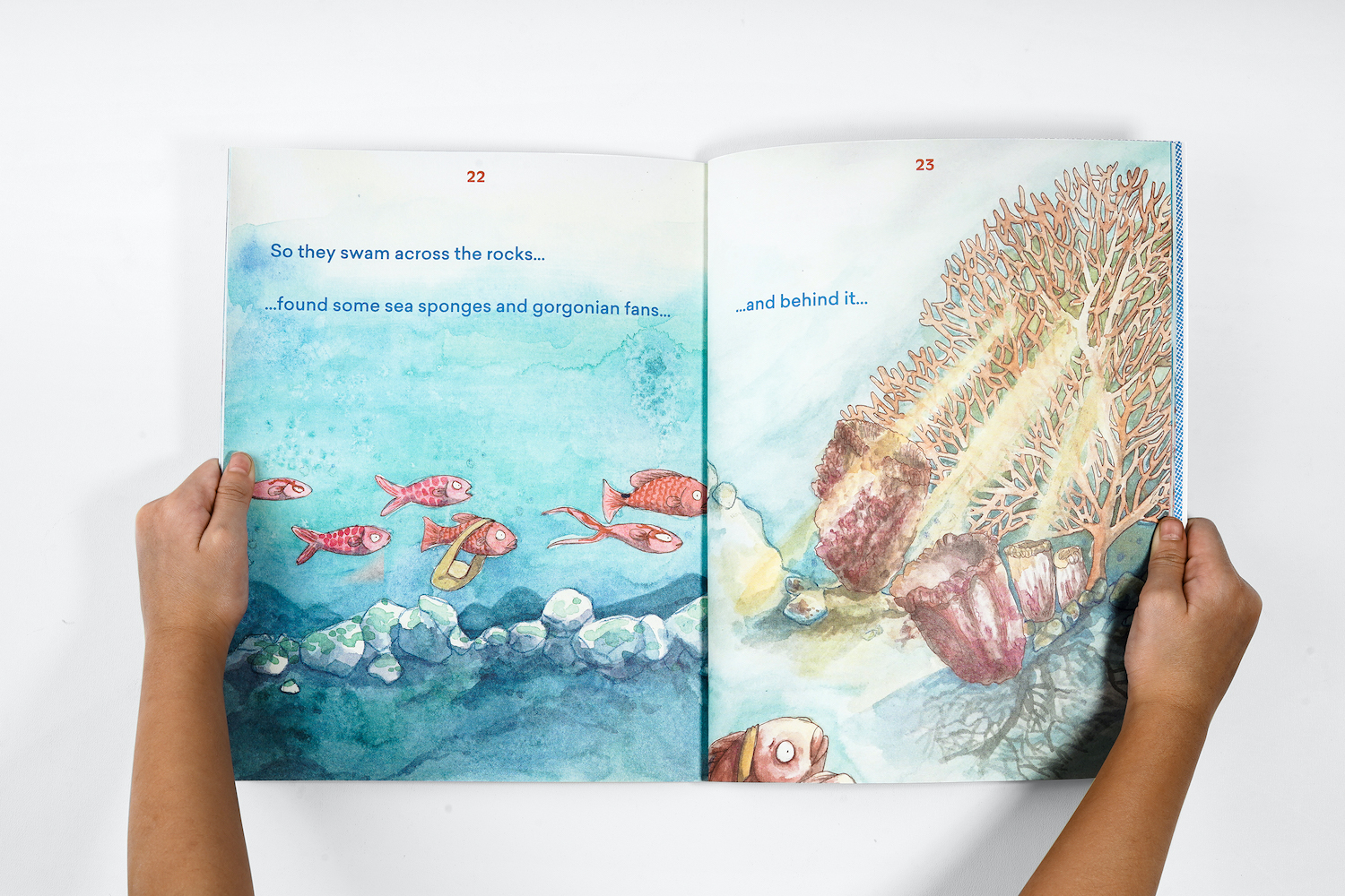 When a red snapper is more than just a fish: Q&A fisheries scientist ...