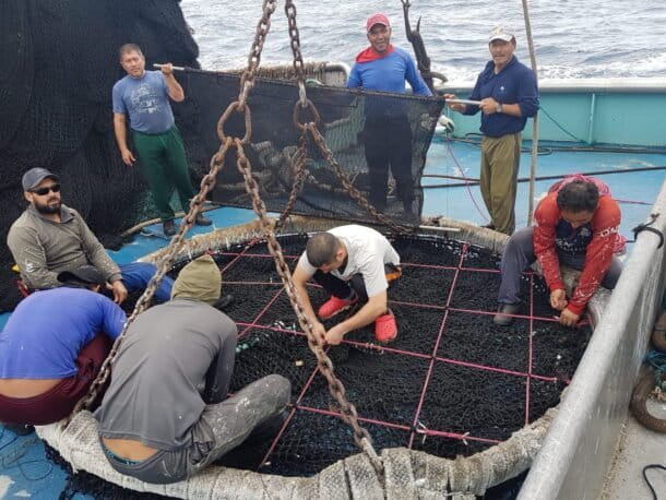 ‘Manta grid’ provides a ray of hope against industrial bycatch threat