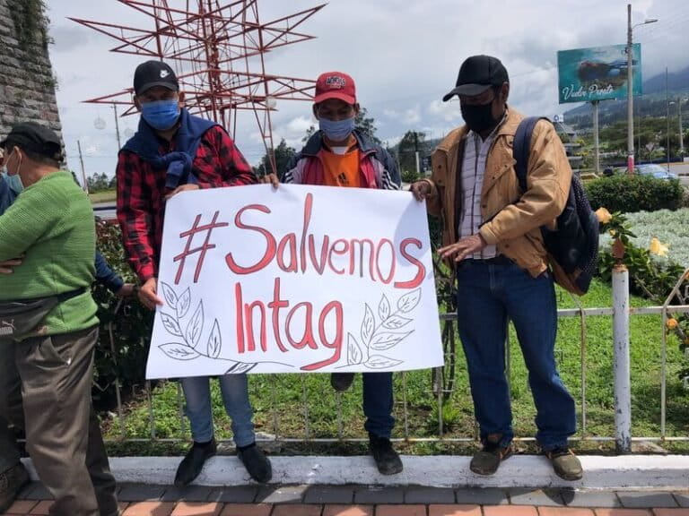 How to ‘stop mining before it starts’: Interview with community ...