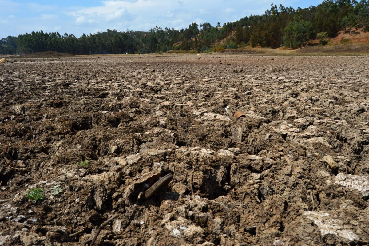 Drying wetlands and drought threaten water supplies in Kenya’s Kiambu ...