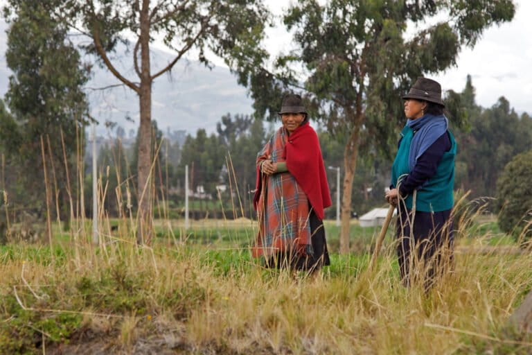 15 community-based conservation opportunities to help people and the planet