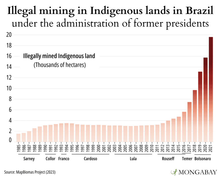 Report sums up Bolsonaro’s destruction legacy and Amazon’s next ...