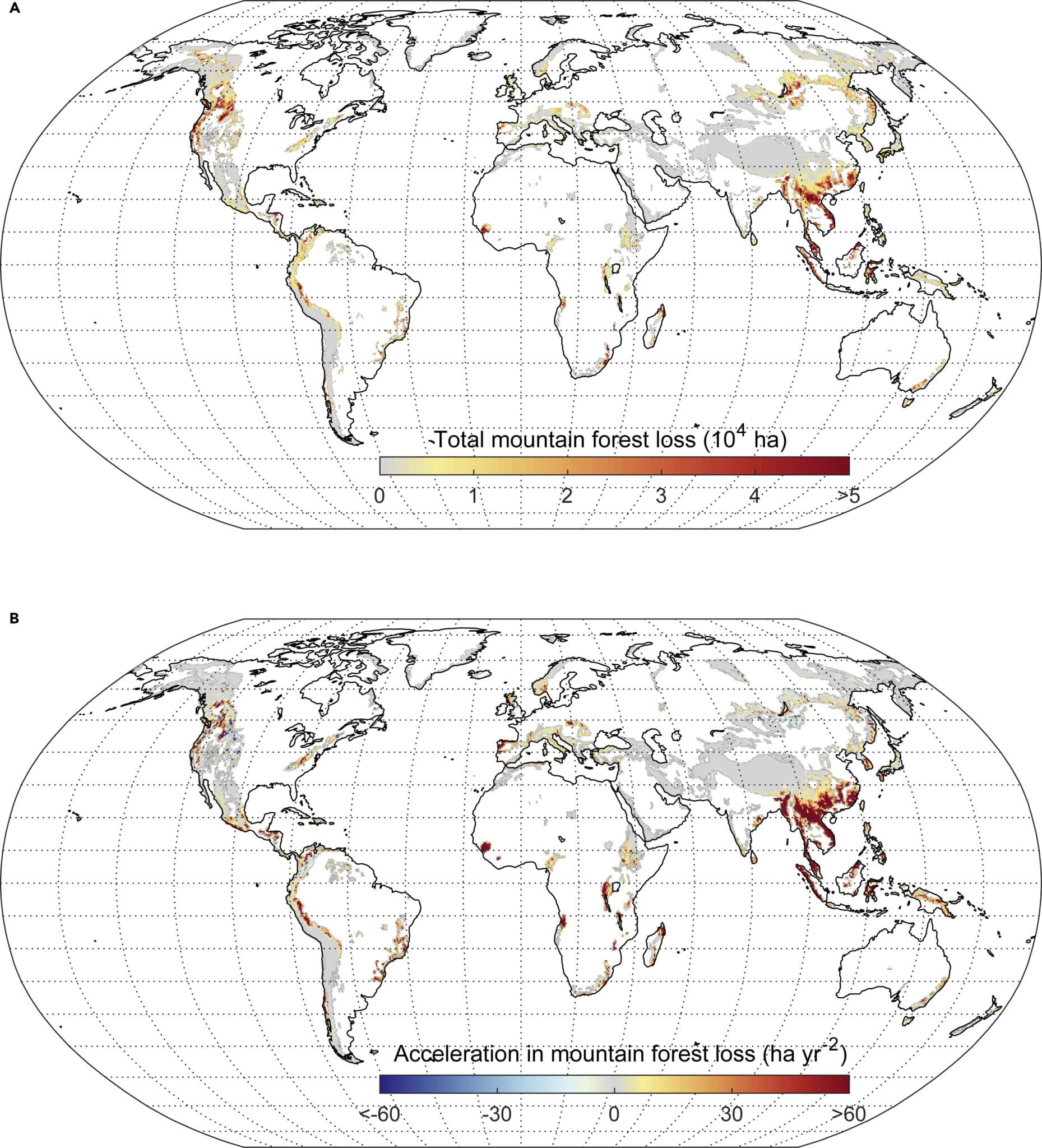 Study shows mountain forests being lost at ‘alarming rate,’ especially ...