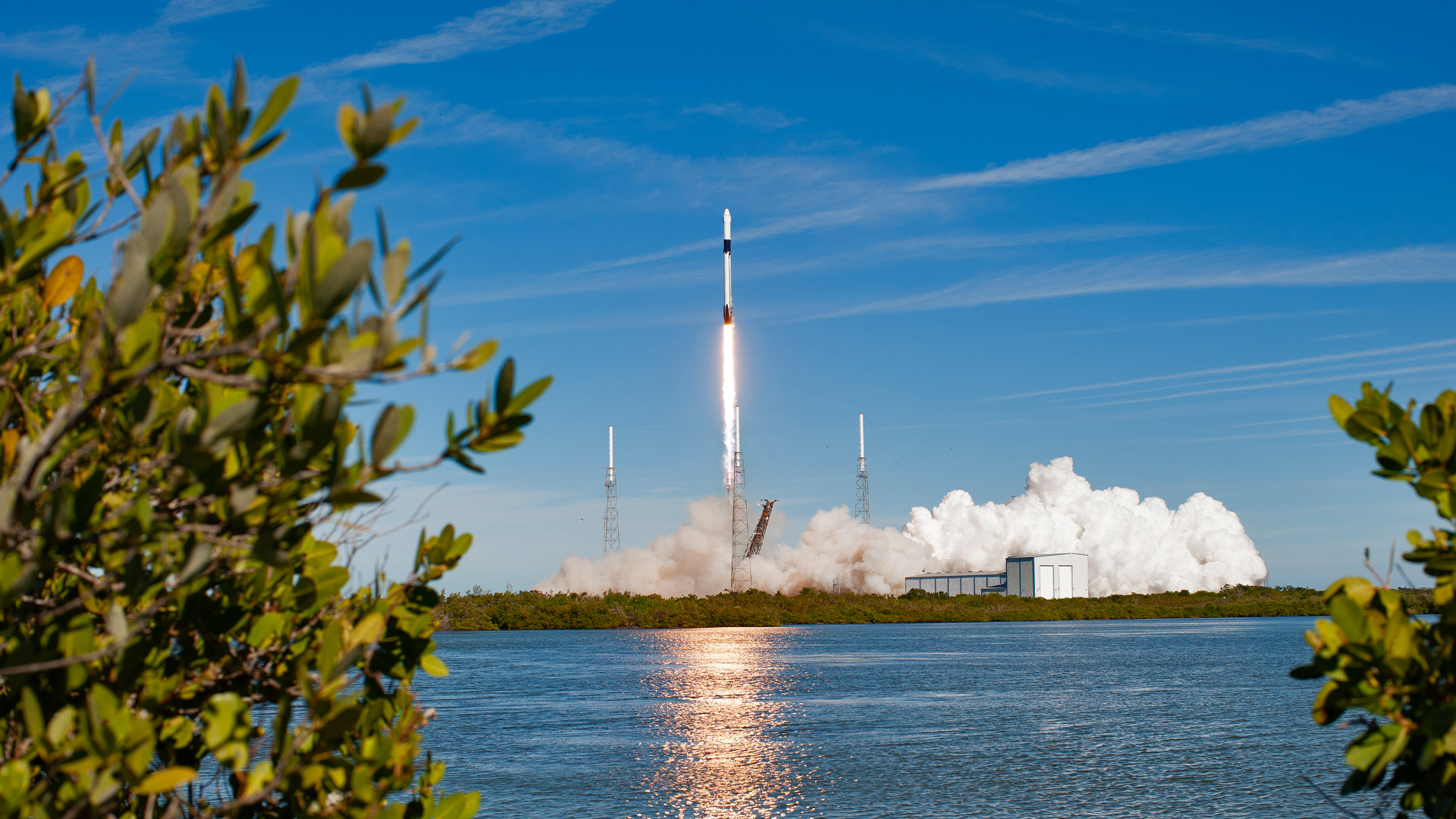 Return of the GEDI: Space-based, forest carbon-mapping laser array saved