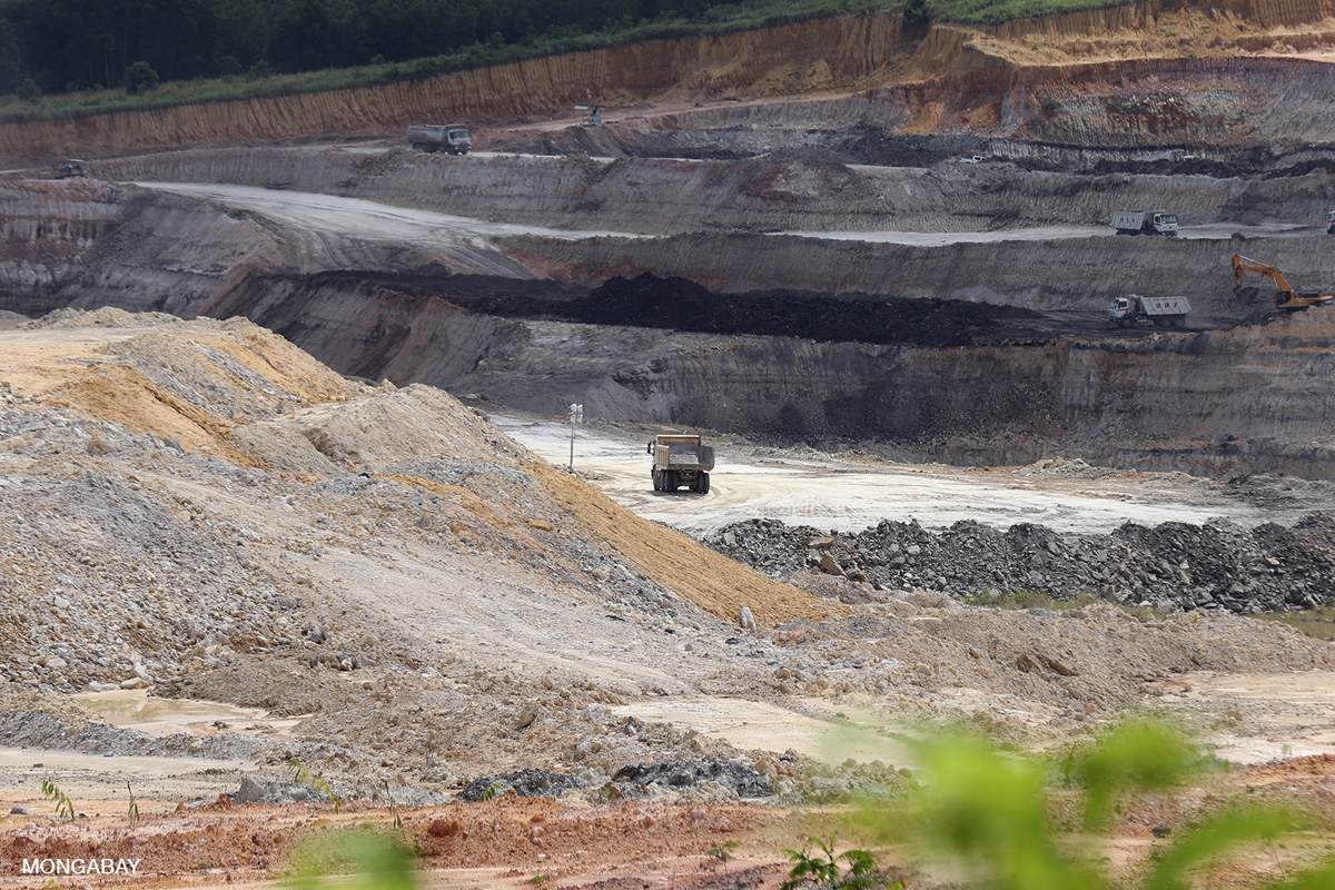 Mining may contribute to deforestation more than previously thought ...